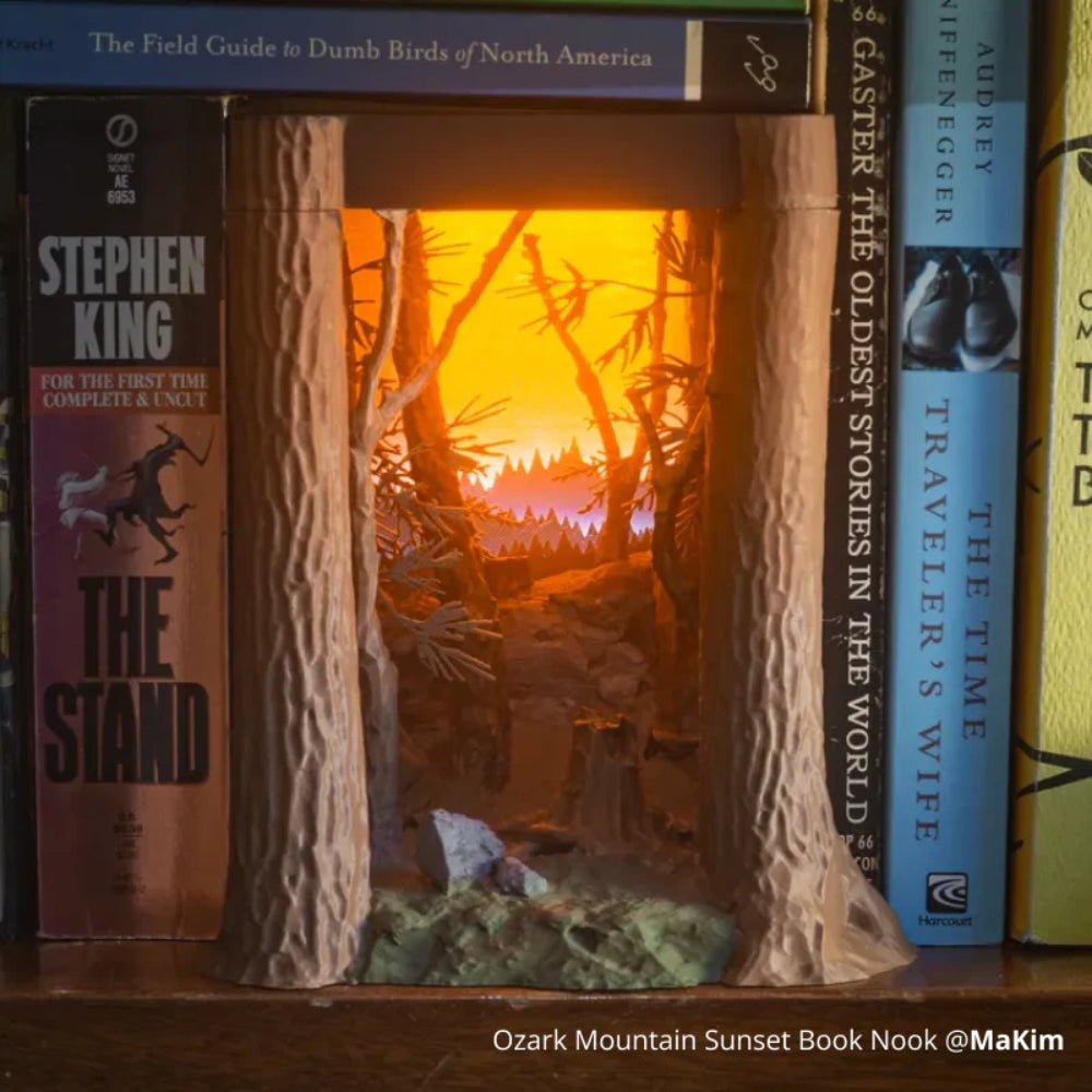 Atome3D.com - Bambu Lab - Kit de rétroéclairage LED Lithophane (4PCS ...