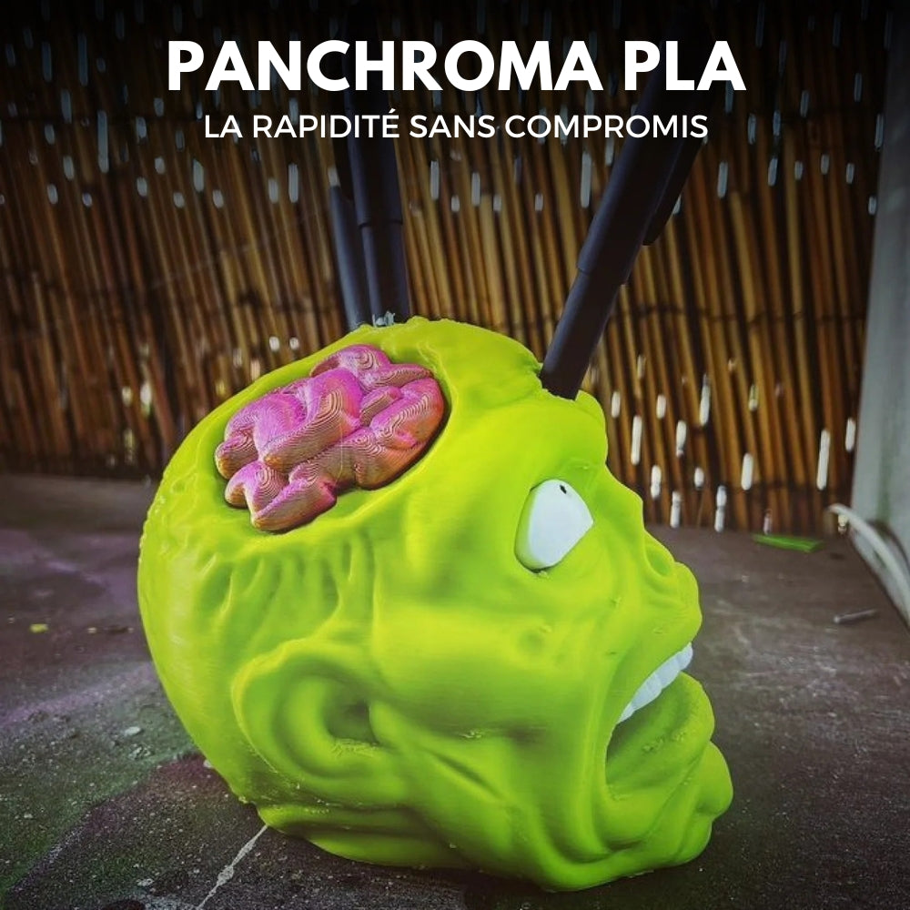 Atome3D.com - Panchroma Basic PLA - Vert Citron (Lime Green) - 1,75 mm ...